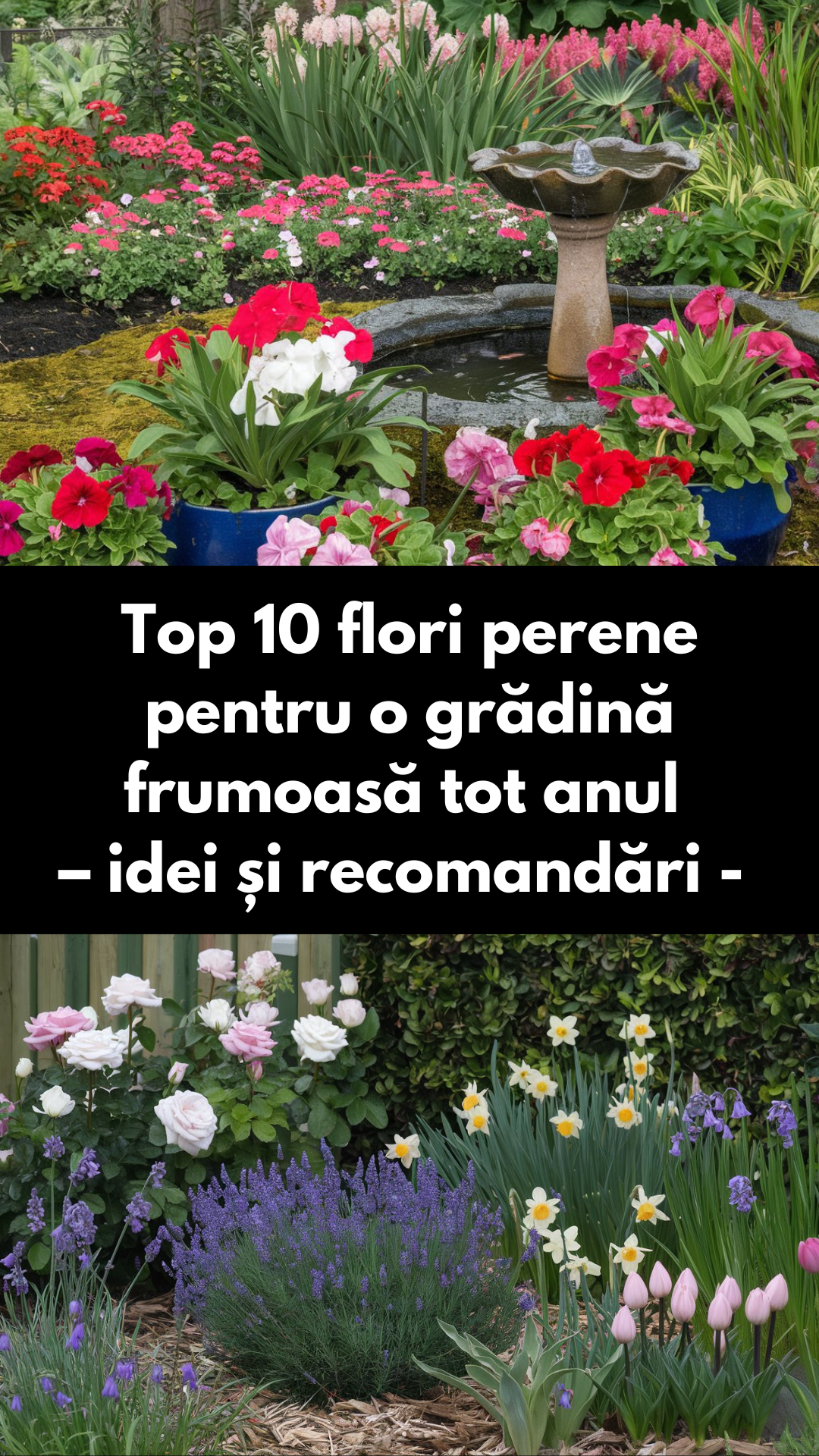 Top 10 flori perene pentru o grădină frumoasă tot anul – idei și ...